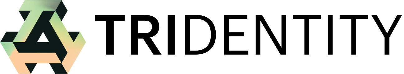 Home - Trident Digital Tech